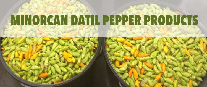 Minorcan Datil Pepper Products – The Cuisine of Old St. Augustine